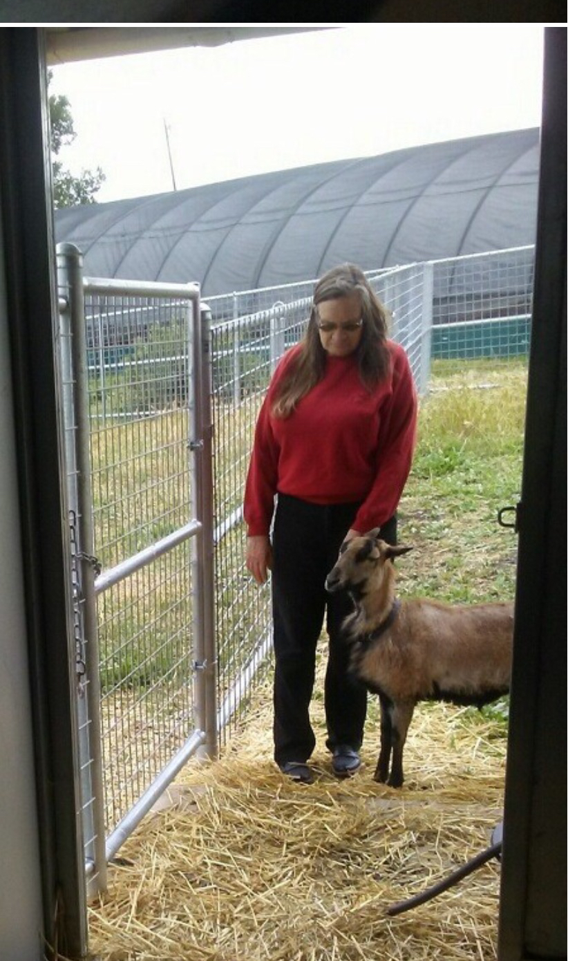 Animal Update, Volunteers for Lucy | Loma Vista Farm